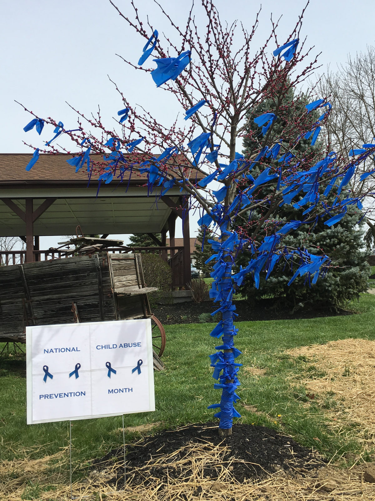 Blue Ribbon Trees and Pinwheels for Prevention | Family Nurturing Center